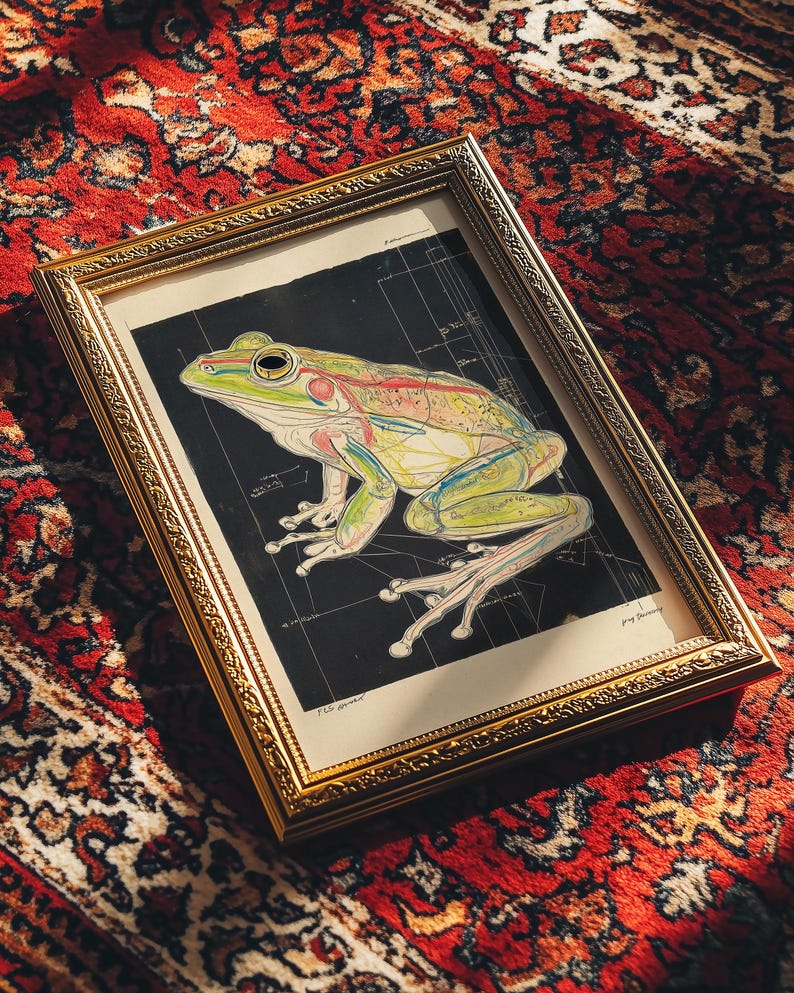 Hand Drawn Frog Anatomy Poster - Retro Vintage Scientific Illustration ...