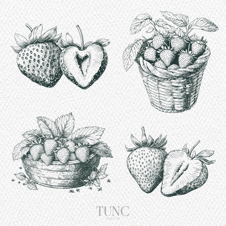20+ Vintage SVG & PNG Retro Strawberry Sketch Bundle, Flower Strawberry ...