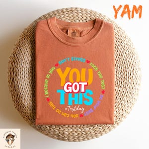 You Got This Motivation Comfort T-shirt, It’s Test Day Tee, State ...