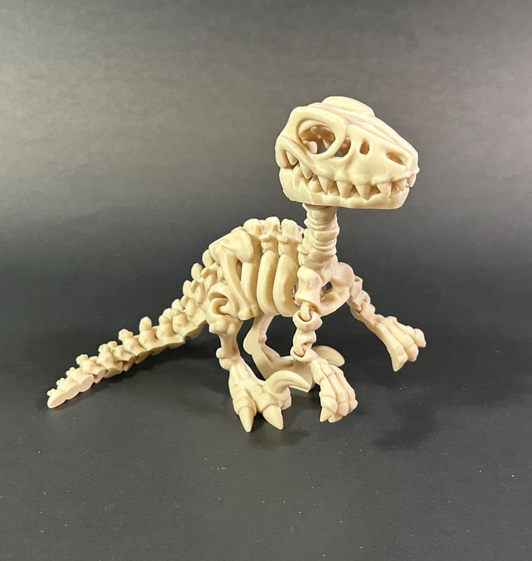 Flexi Skeleton Raptor Dinosaur (3D Printed) - Etsy