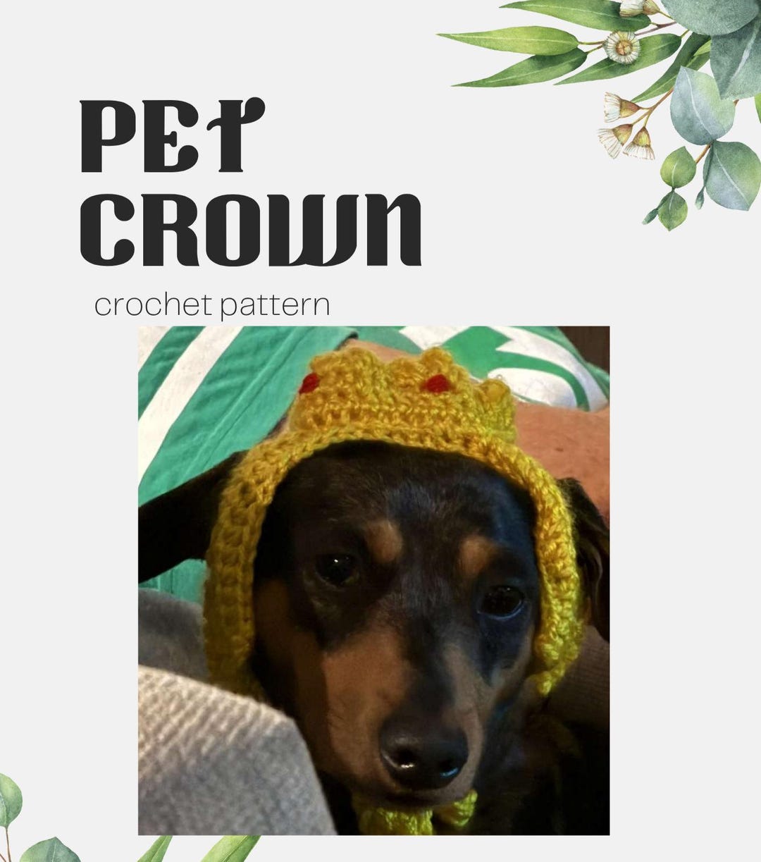 Pet Crown Crochet Pattern - Etsy
