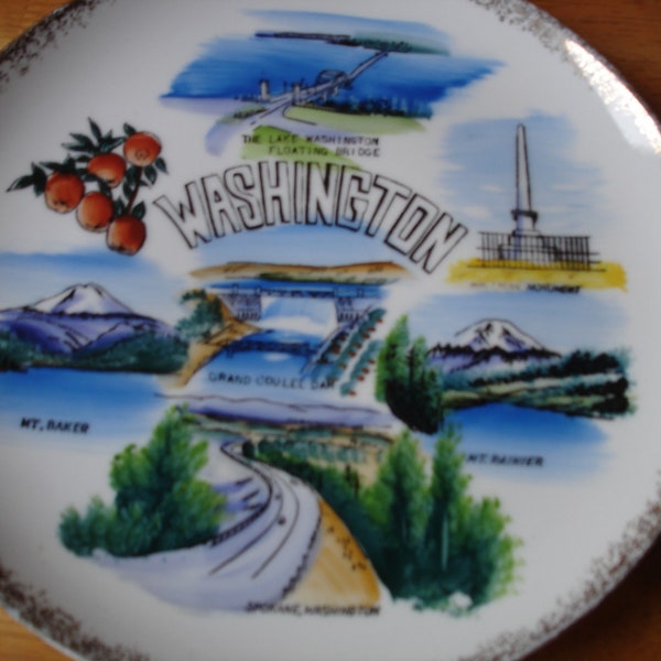 Souvenir Washington State Plates - Etsy