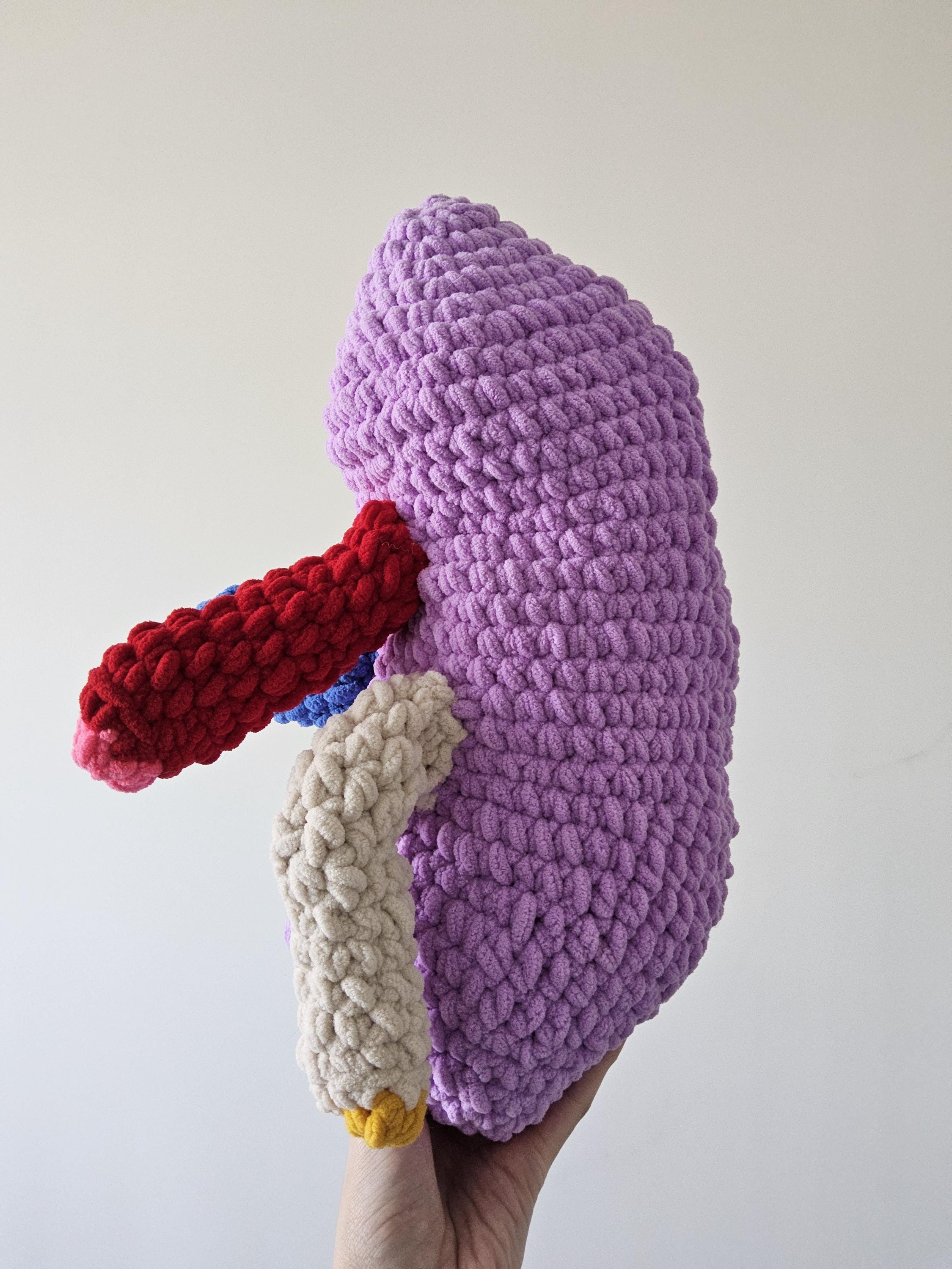 Kidney Crochet Amigurumi - Etsy
