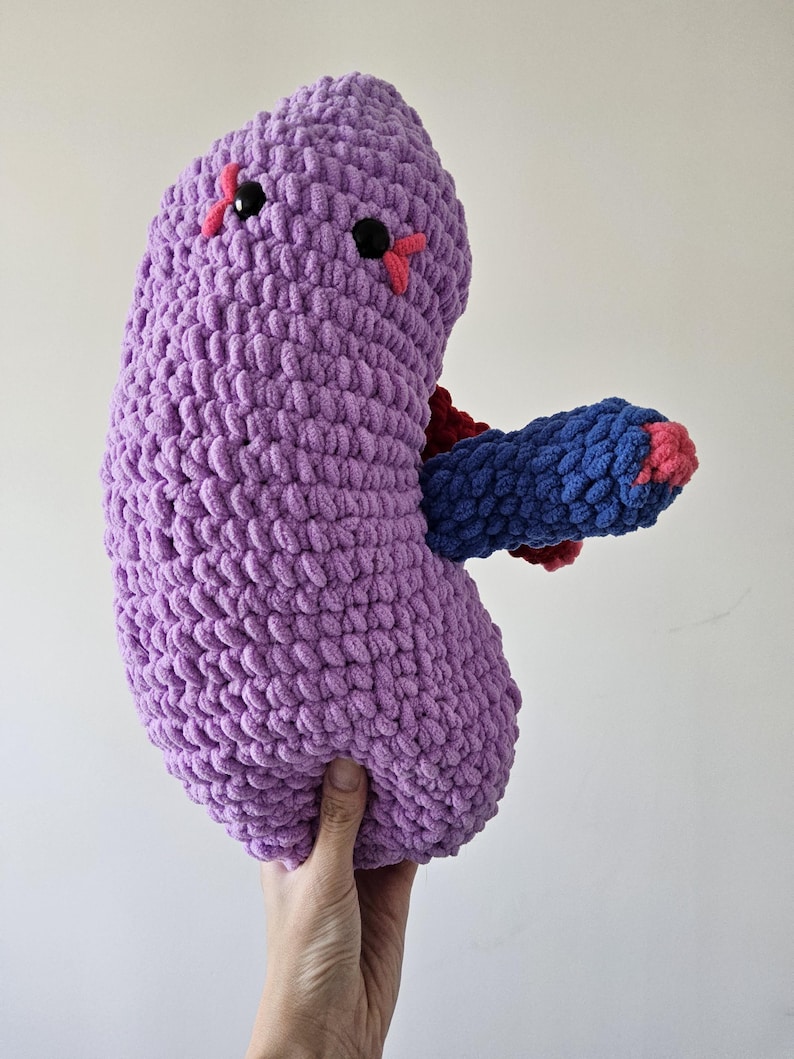 Kidney Crochet Amigurumi - Etsy