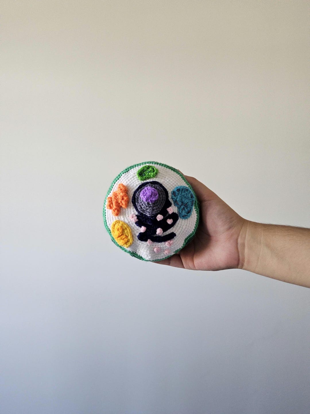 Plant Cell Crochet Amigurumi - Etsy