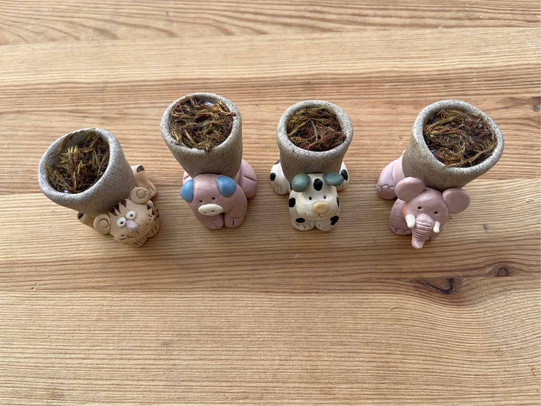 Handmade Mini Animal Clay Pots - Pig, Tiger, Elephant, Dog - Please ...