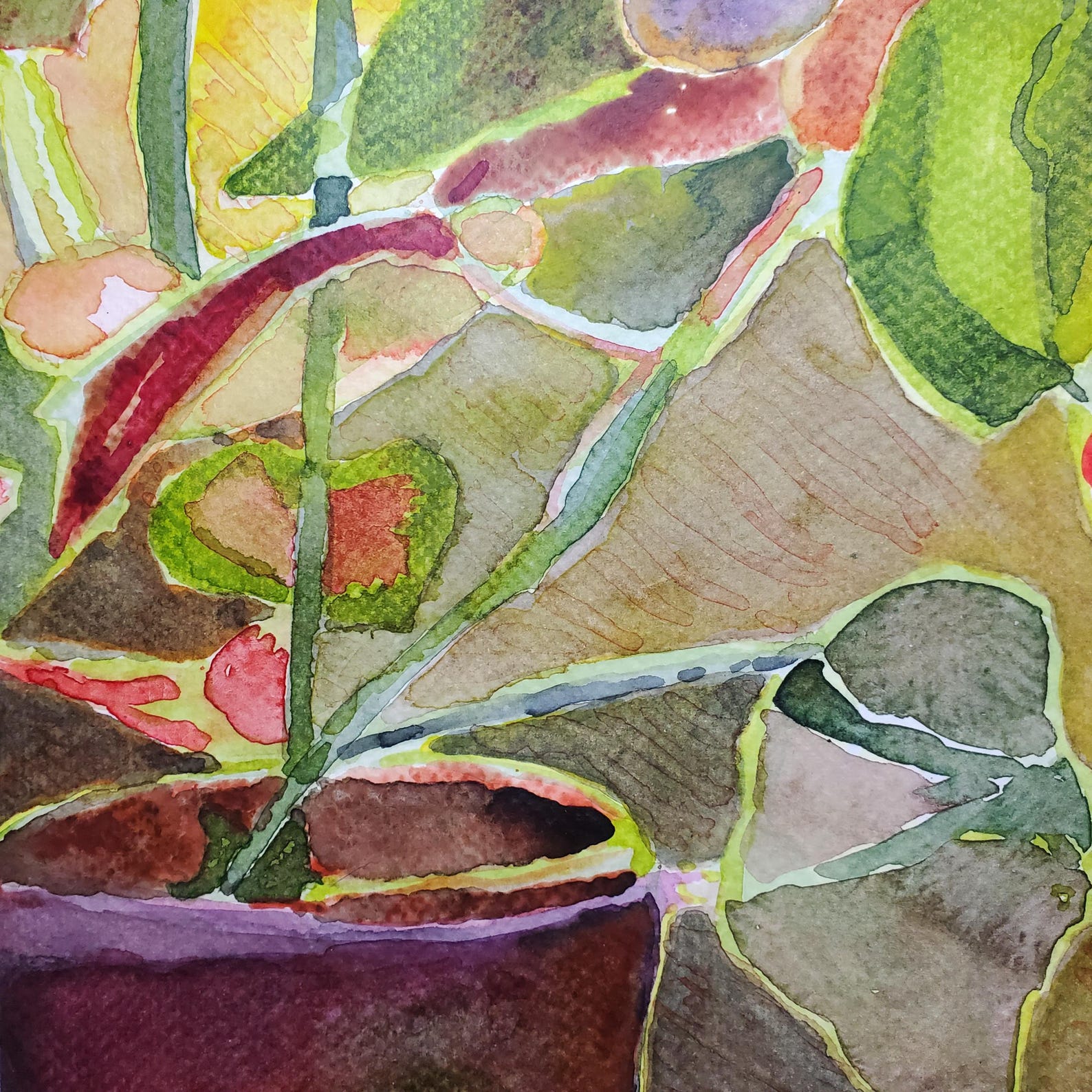 Original Begonia Watercolor Painting: Abstract Houseplant Still Life ...