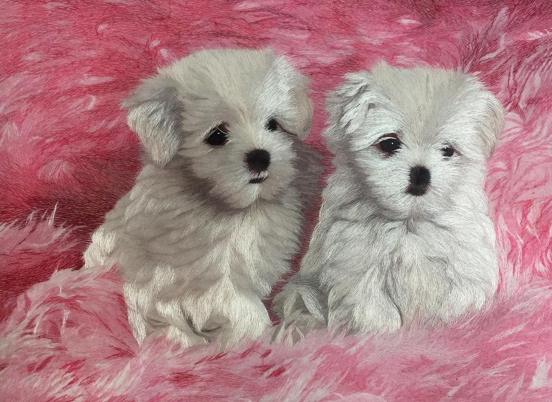 Exquisite Chinese Handmade Silk Embroidery Art Cute Dog Painting Wall ...