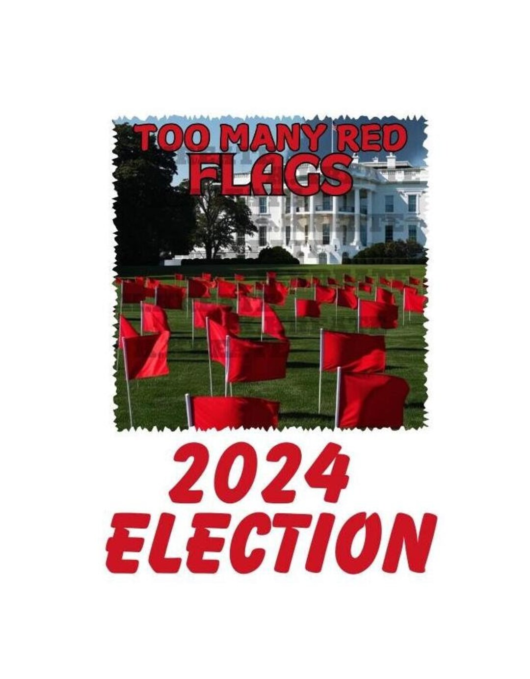 Election 2024 Too Many Red Flags Png-sublimation Image - Etsy