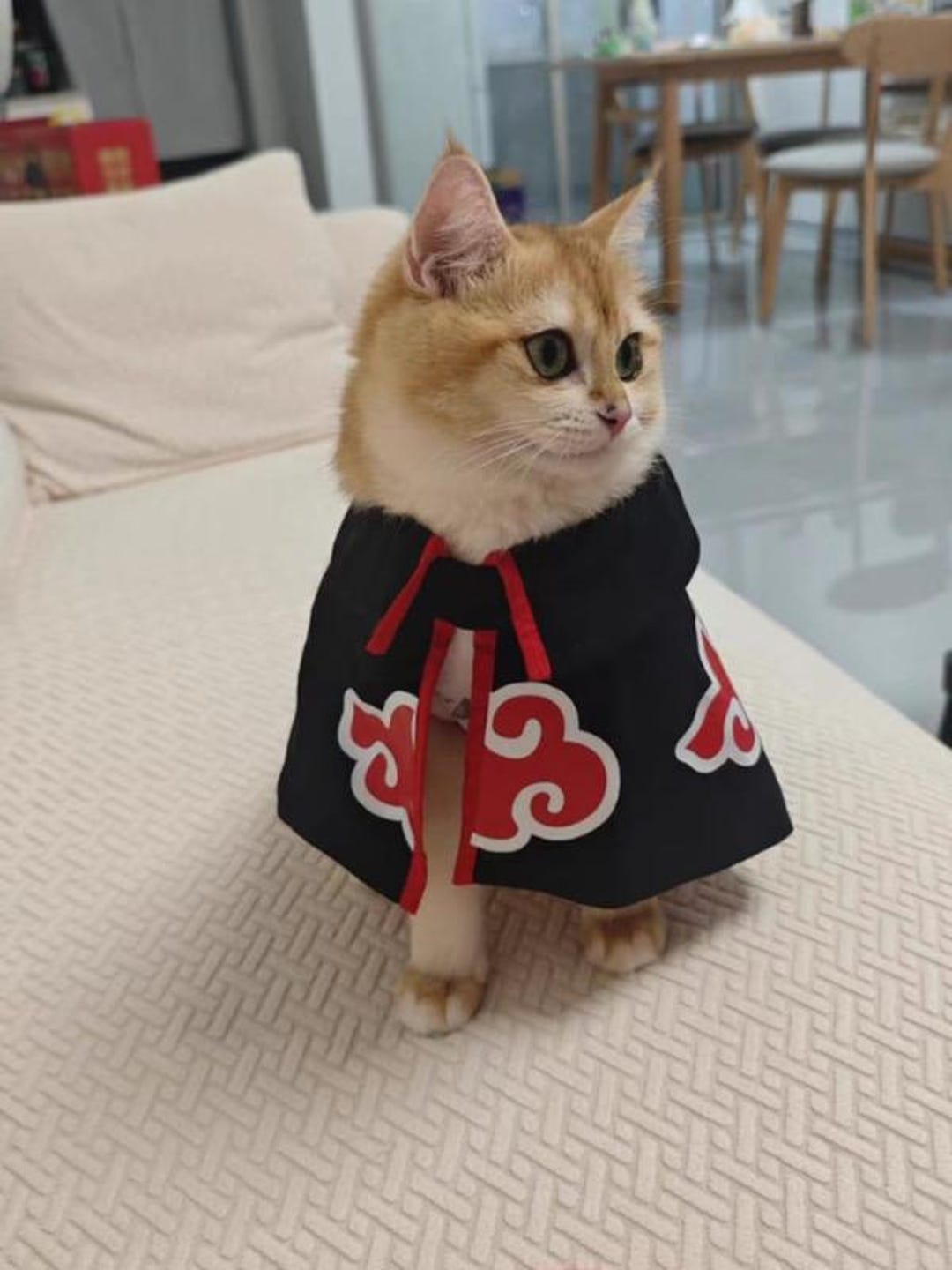 Anime-inspired Pet Cloak With Red Cloud Design Hooded Cape for Cats and ...
