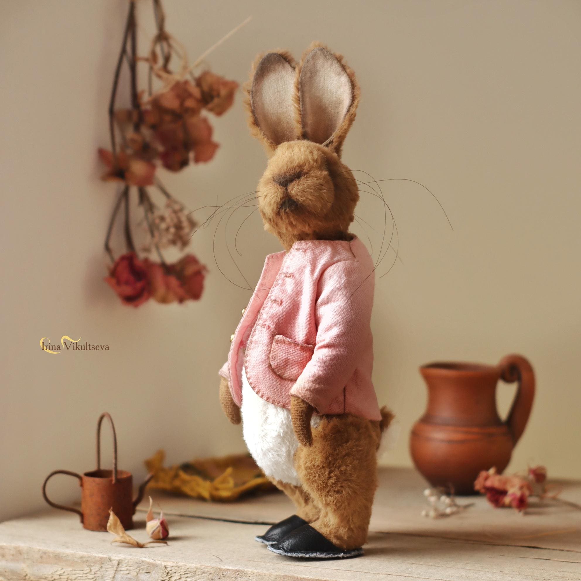 Peter Rabbit in Pink Jacket - Etsy