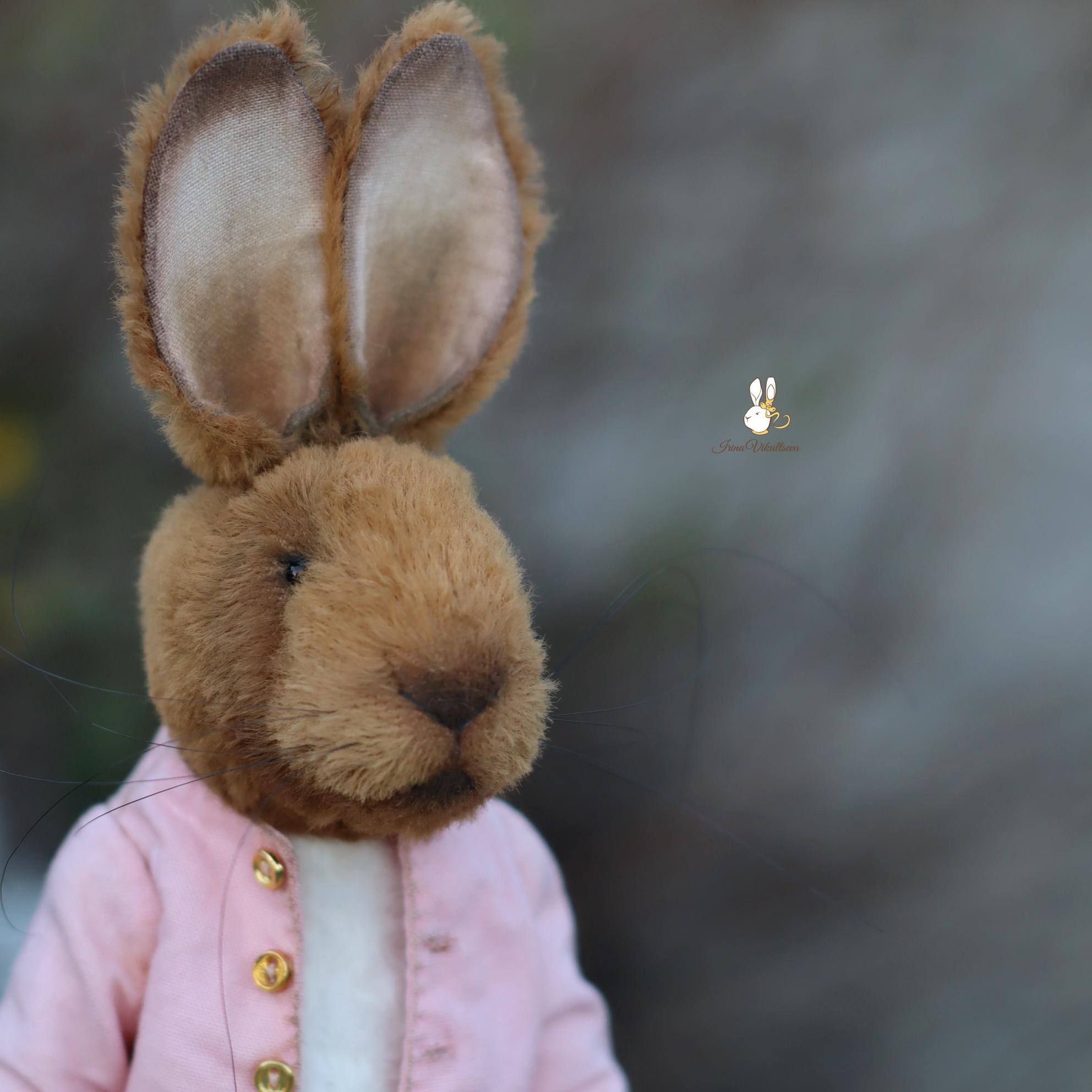 Peter Rabbit in Pink Jacket - Etsy
