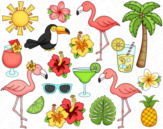 Tropical Summer Digital Clipart Set of 18 Flamingo | Etsy