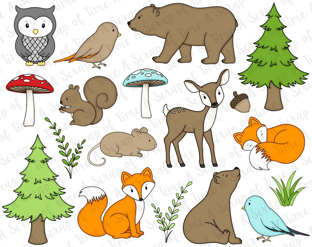 Woodland Animals Digital Clipart - Set of 18 - Bear, Fawn, Fox, Trees ...
