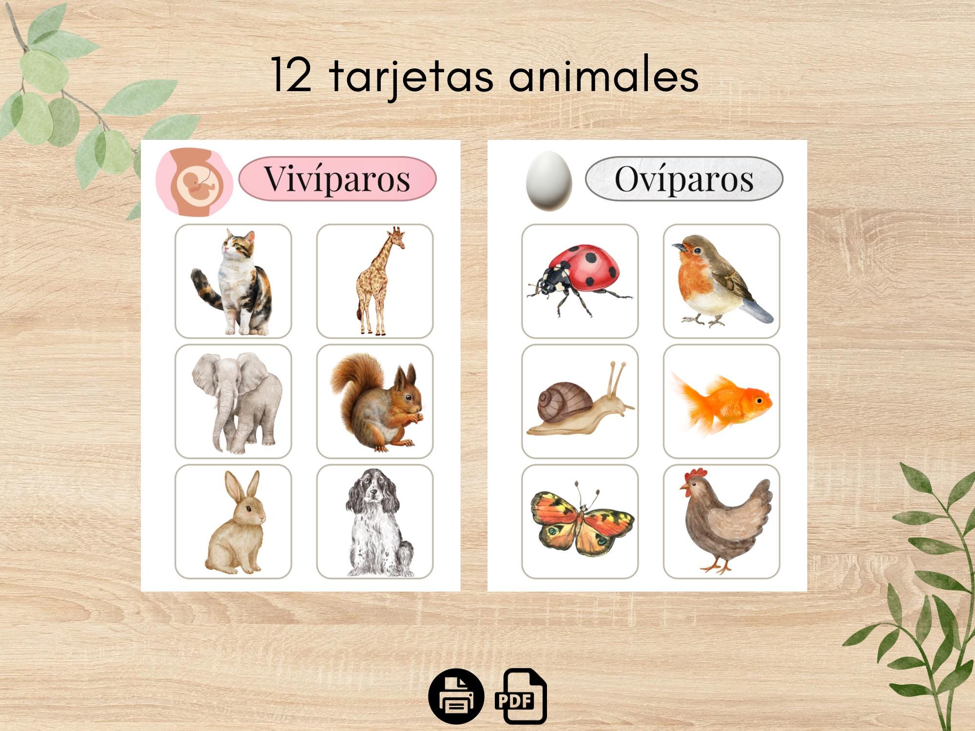 Montessori Animal Classification Charts – Ovíparos Y Vivíparos | 2 ...
