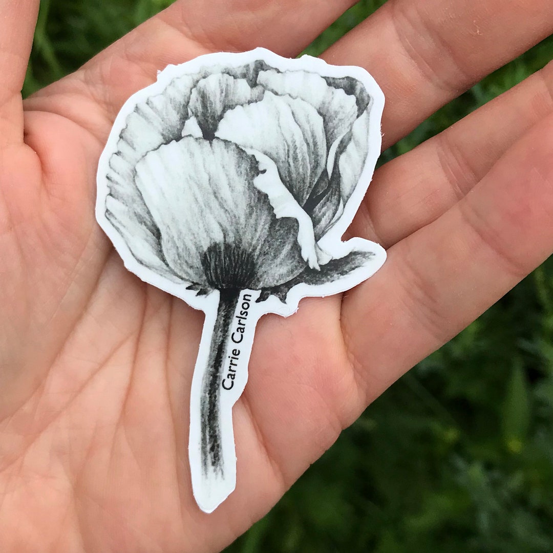 Poppy Flower 3" Vinyl Sticker From Original Graphite Illustration - Etsy