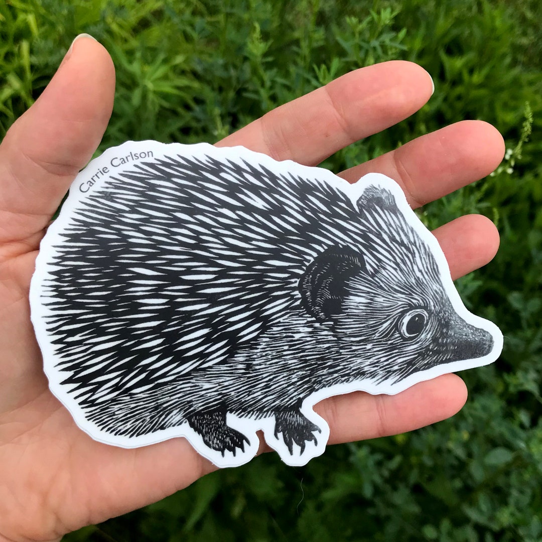 5" Hedgehog Vinyl Sticker From Original Linoleum Block Print - Etsy
