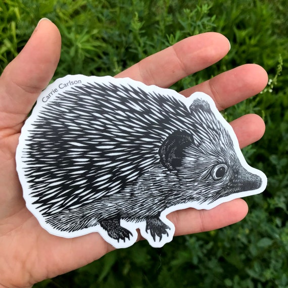 5 Hedgehog Vinyl Sticker From Original Linoleum Block - Etsy