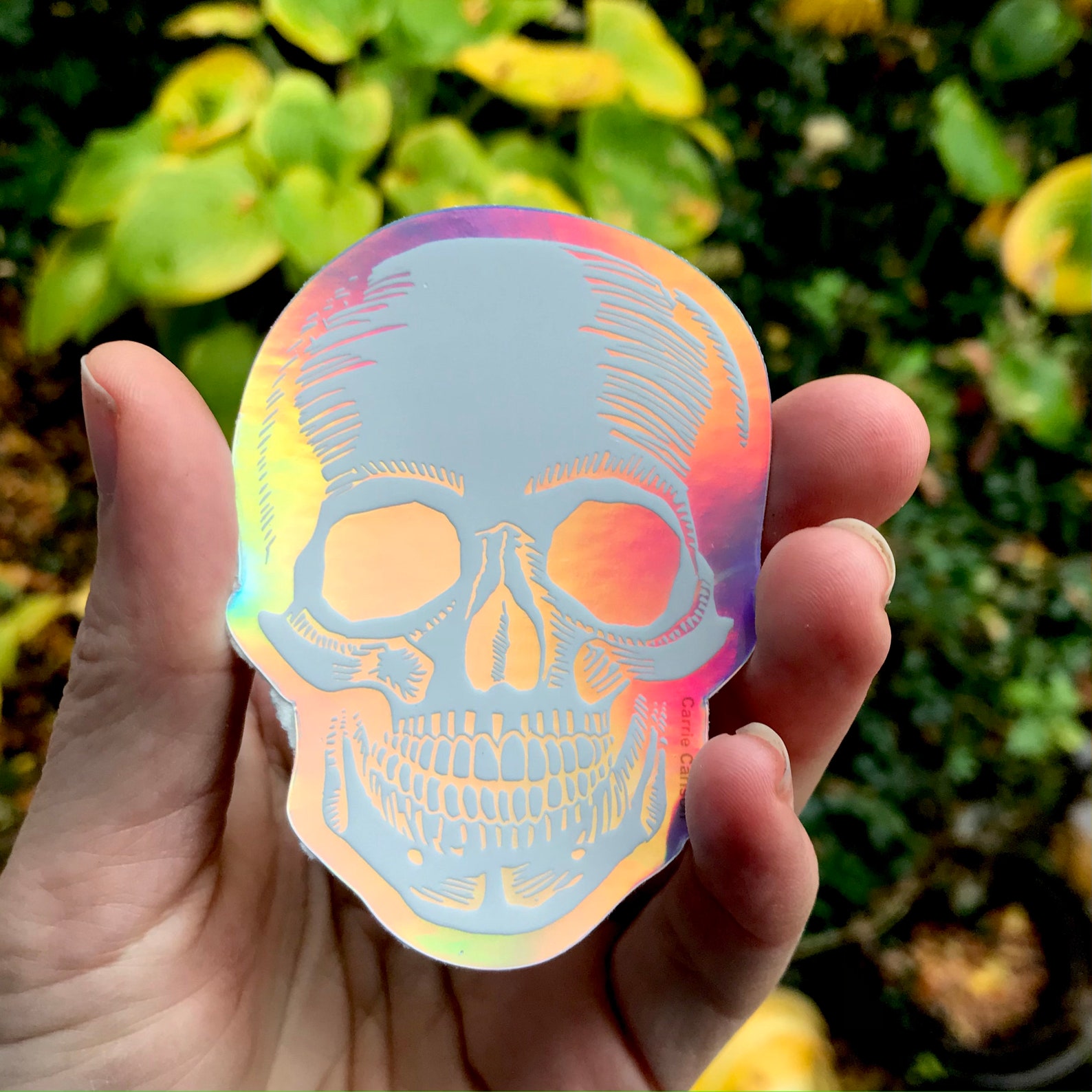 Human Skull Vinyl Sticker From Original Linoleum Block Print (white on ...
