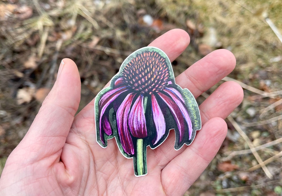 3" Purple Coneflower Vinyl Sticker (made From Original Gouache Painting ...