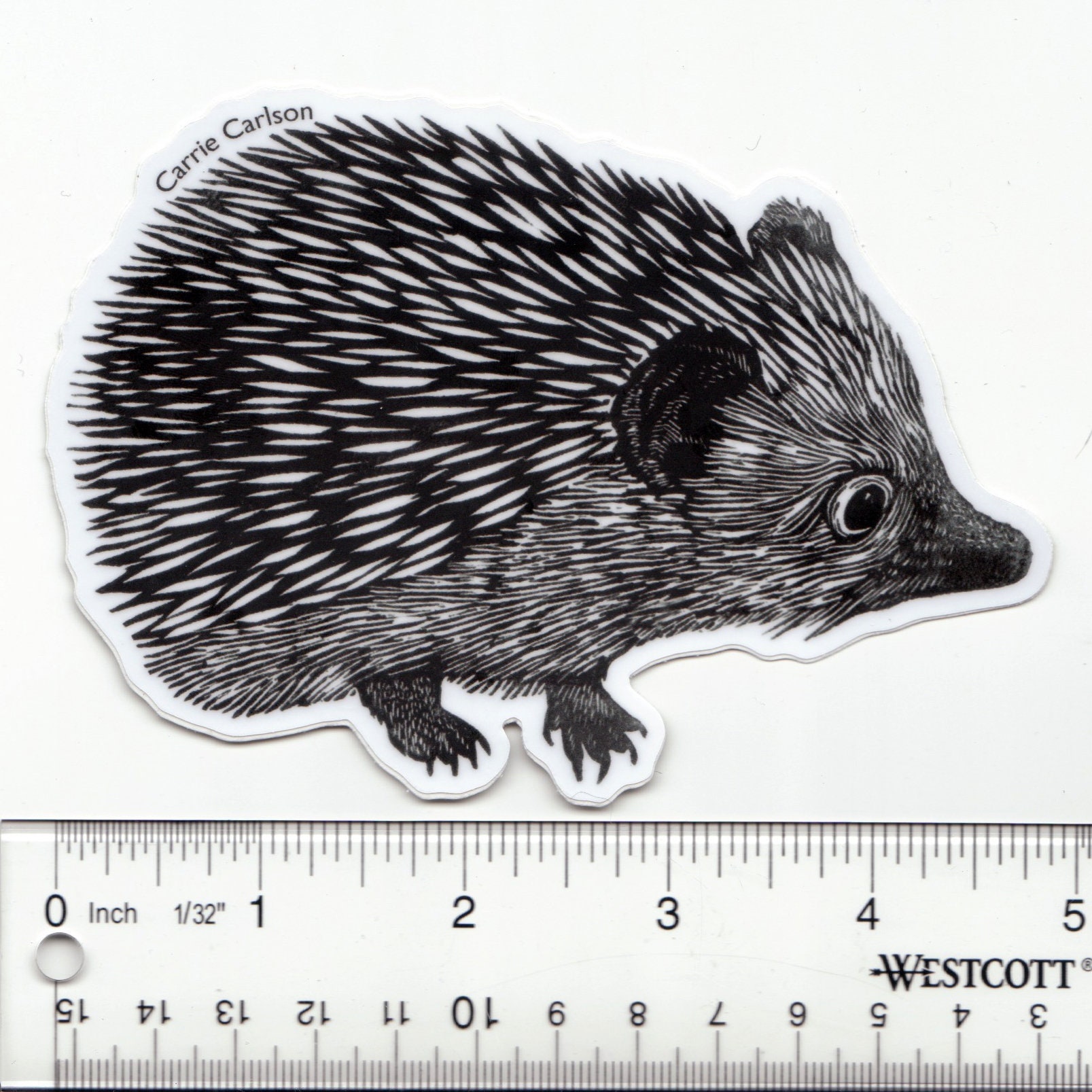 5" Hedgehog Vinyl Sticker From Original Linoleum Block Print - Etsy
