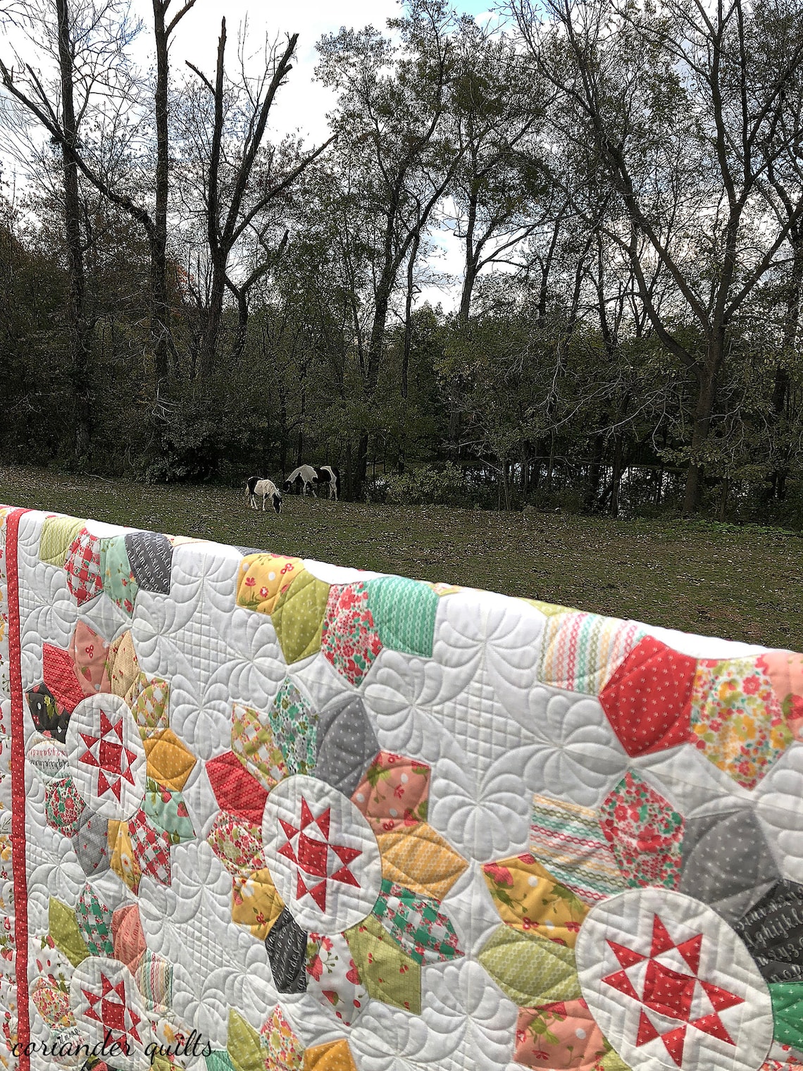 Plain & Fancy Pattern #143 PDF Quilt Pattern - Etsy