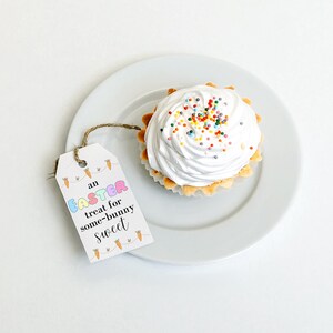 Printable Easter Treat Tags: Somebunny Sweet Favor (PDF Download) - Etsy