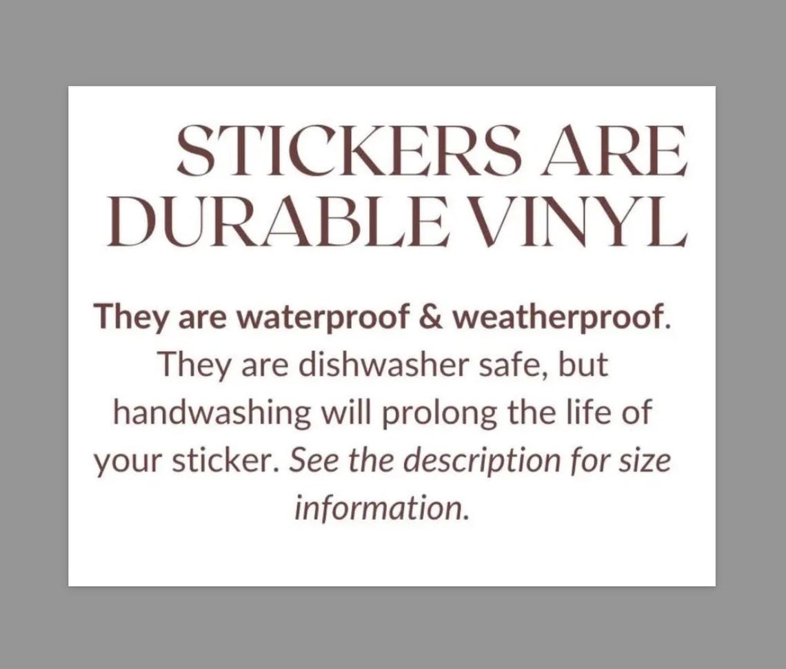 Stan Logo Eminem Inspired Vinyl Decal - Etsy