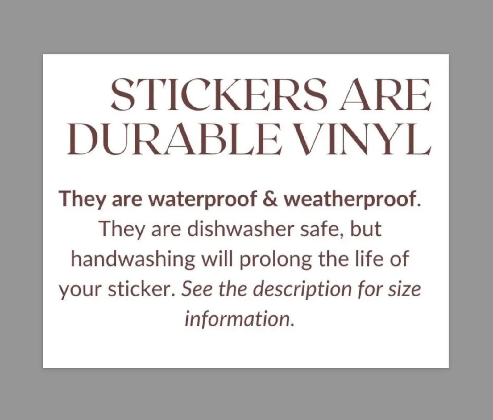 Stan Logo Eminem Inspired Vinyl Decal - Etsy