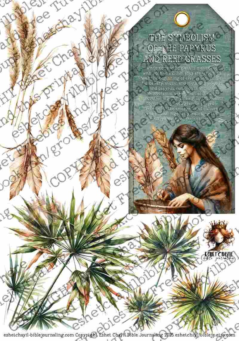 Woman of the Bible Adah & Zillah #2 Detailed Faces Bible Journaling ...