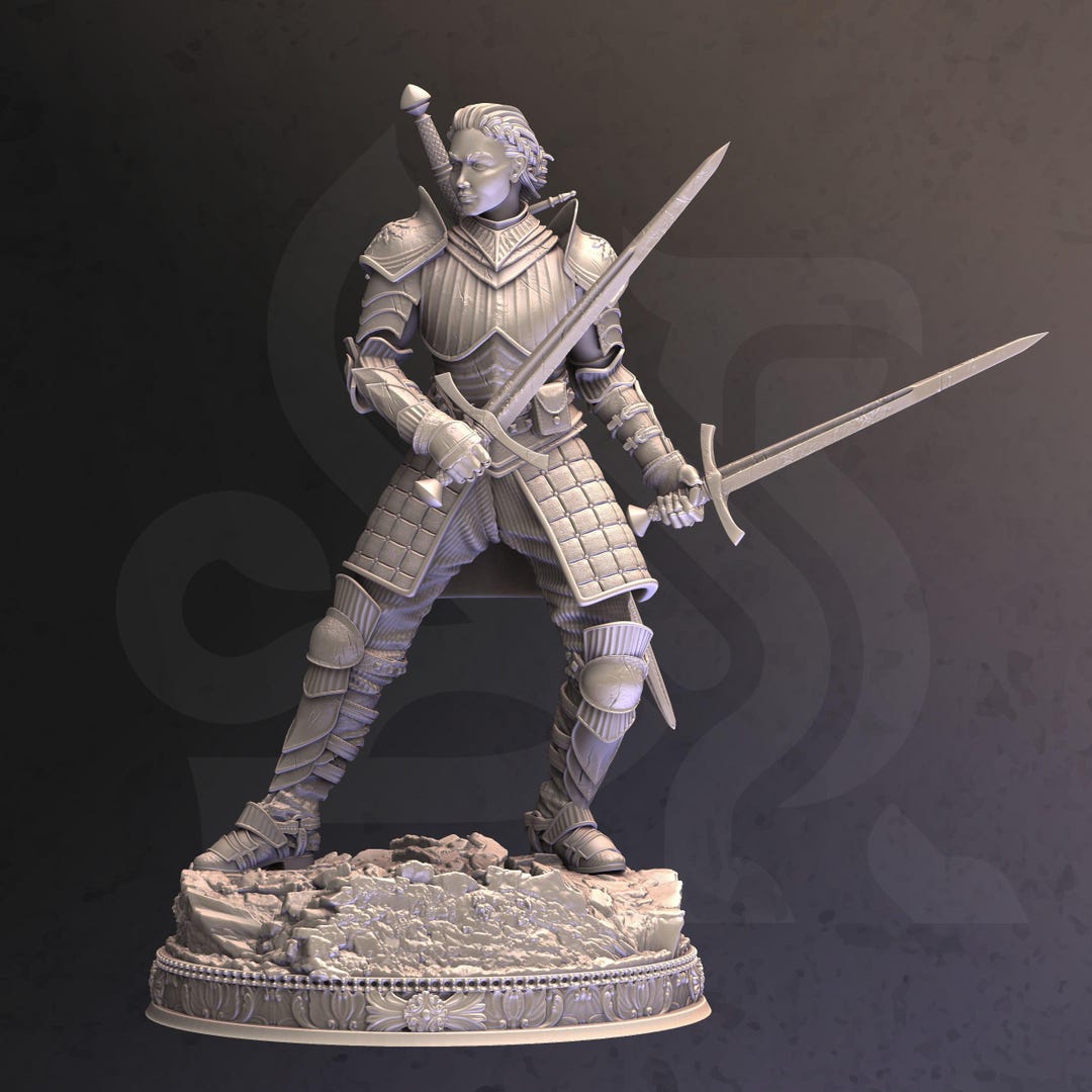 Royal Female Knight Dual Sword Paladin Fighter 32mm Scale - Grand ...