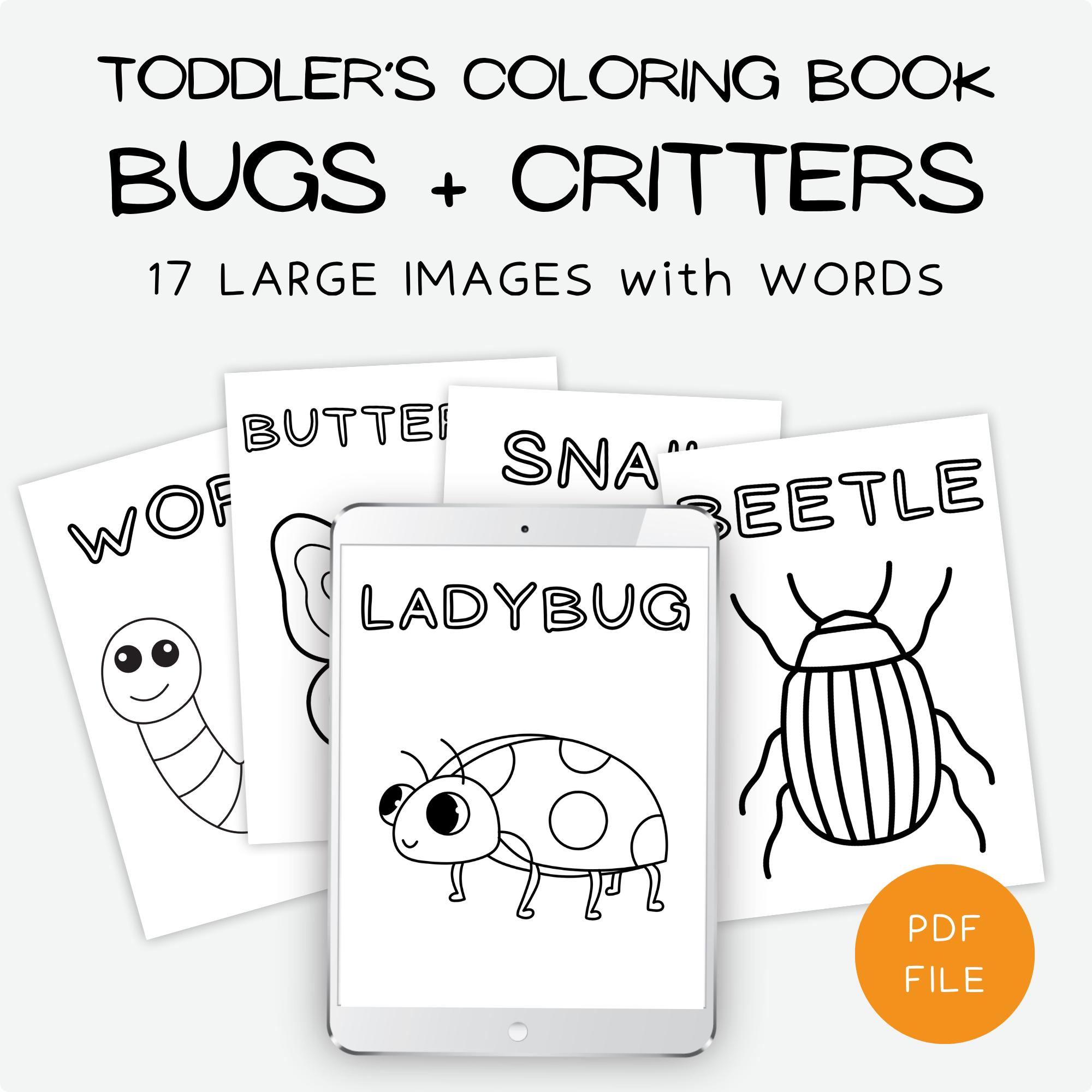 Learning Insect Bug Toddler Preschool Worksheet Coloring Book Toddler ...