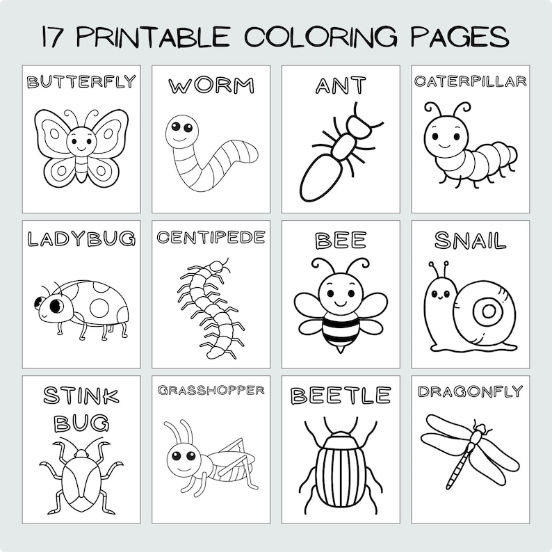 Learning Insect Bug Toddler Preschool Worksheet Coloring Book Toddler ...