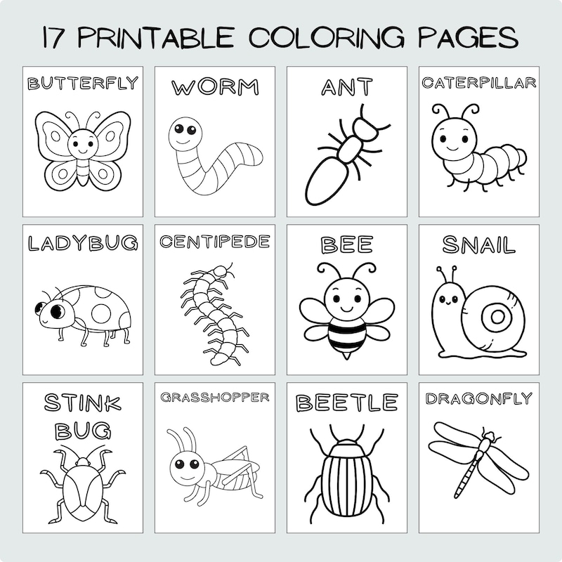 Insects Activity Sheet - Etsy