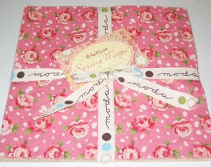 Spring Magic Layer Cake by April Cornell for Moda 40 Fabric Squares - Etsy