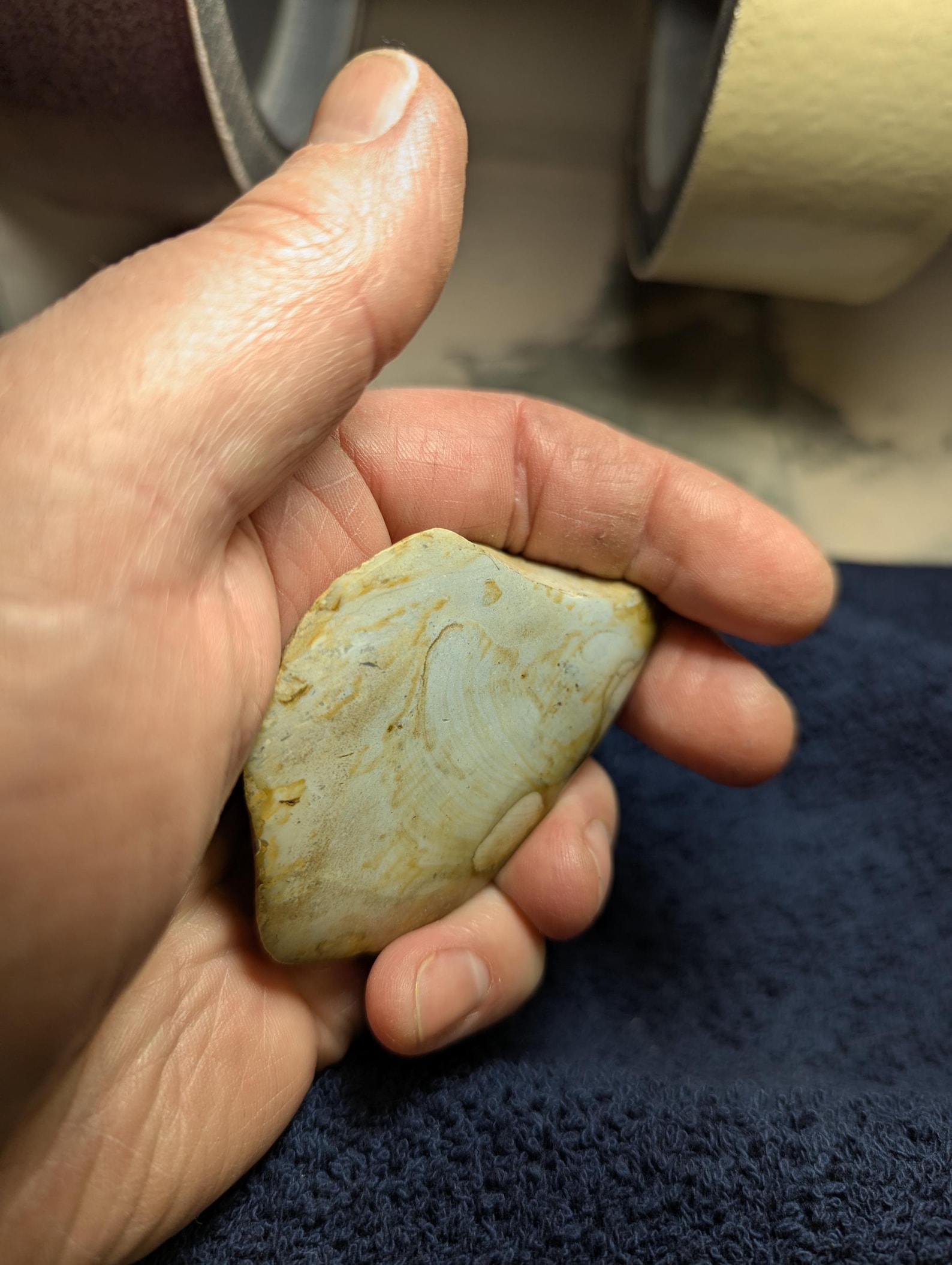 Chert Cut and Polished. Unique Pattern. - Etsy