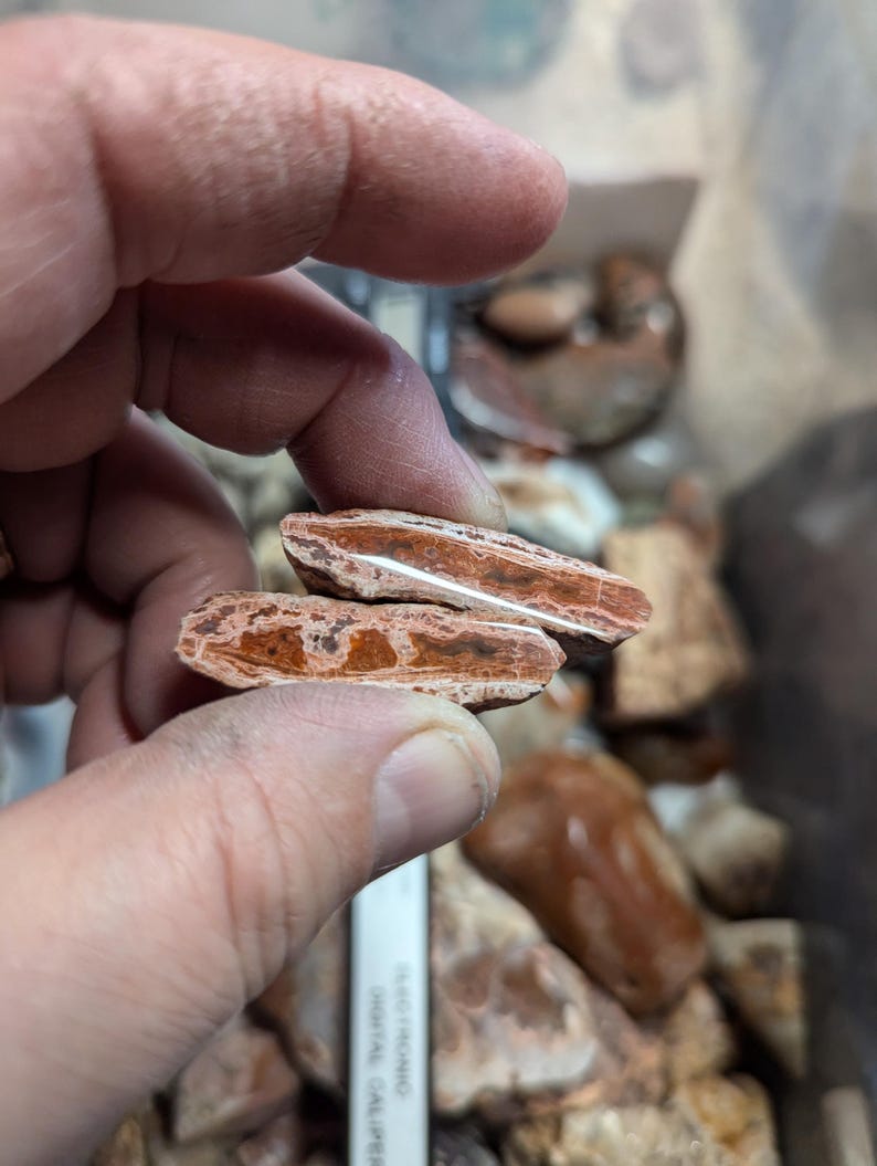 Both Halves Polished Seam Agate. From the Shores of Superior. - Etsy
