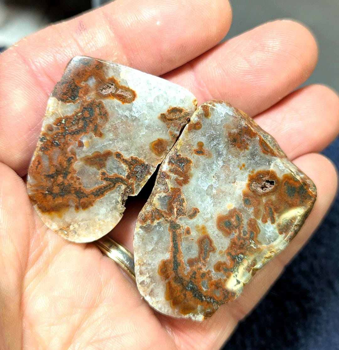Lake Superior Agate Cut and Face Polished, Both Halves. Fragmented ...