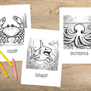 30 Printable Sea Animal Coloring Pages for Kids, Toddlers, and ...