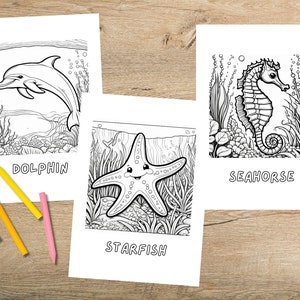 30 Printable Sea Animal Coloring Pages for Kids, Toddlers, and ...