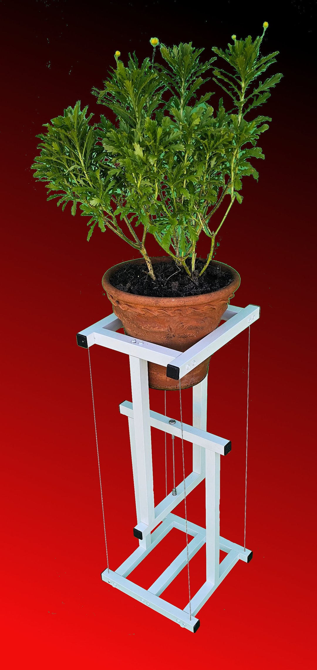 Tensegrity Floating Shelf Indoor/outdoor Plant Stand Kit - Etsy