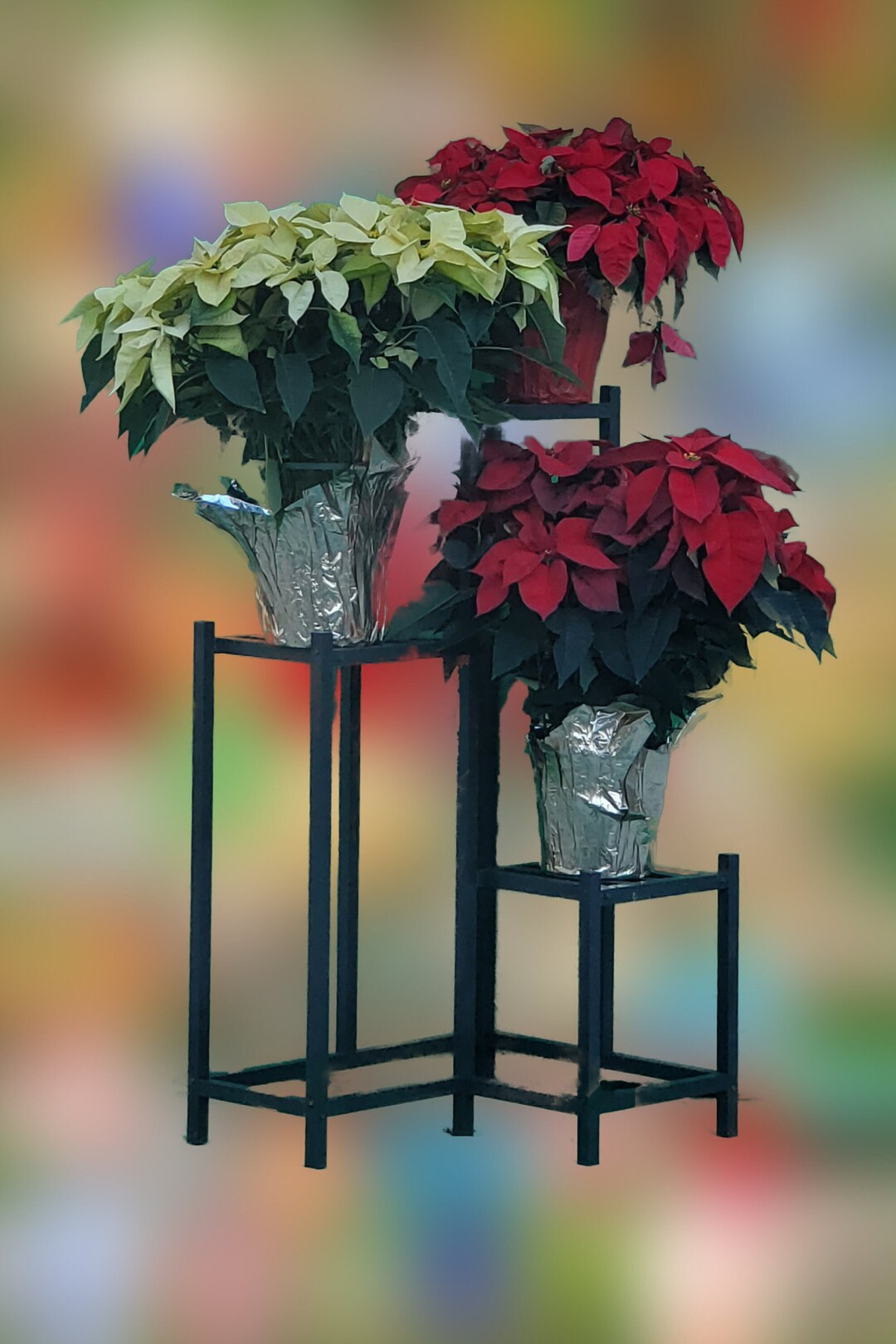 3 Tier Aluminum Plant Stand: Rust Proof Indoor Outdoor Display (12") - Etsy