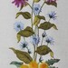 DK Designs Brazilian Embroidery- #3863 Accidental Garden -pattern With ...