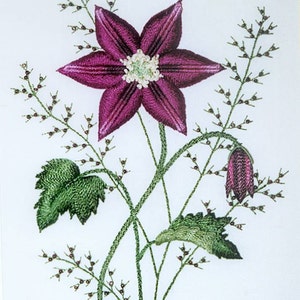 DK Designs Brazilian Embroidery-#3801 Passionate Clematis-pattern With ...