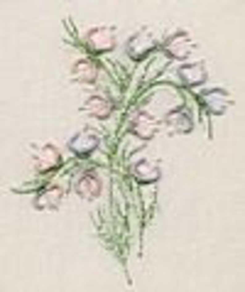 Creeping Flowers Brazilian Embroidery Kit 5101 Edmar - Etsy