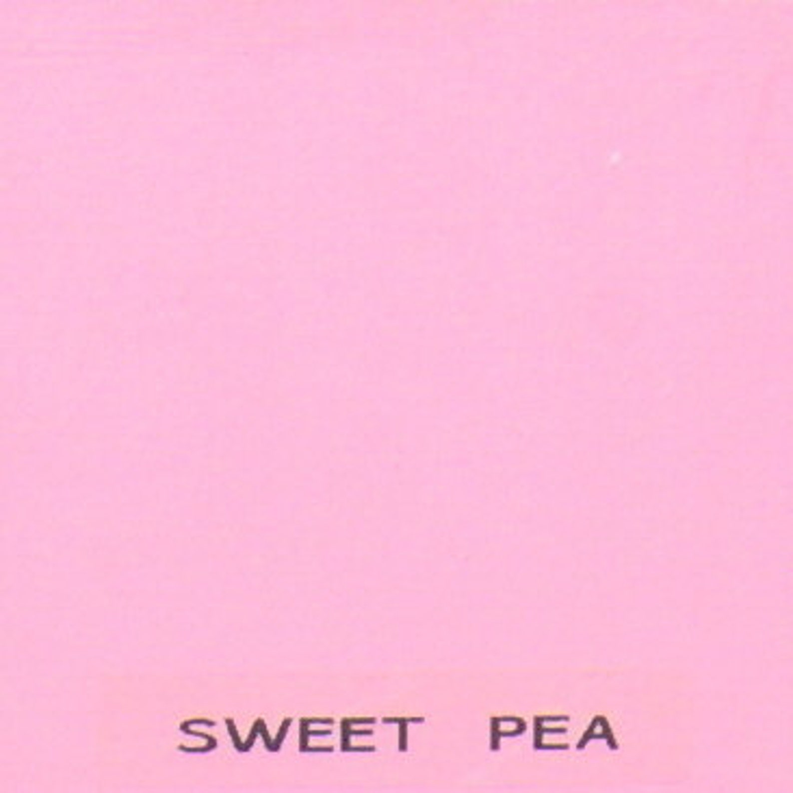 Paper Towel Holder Shelf Wall Solid Wood With Apron - Etsy