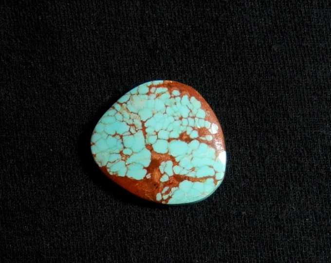 Number 8 Mine Gem Turquoise Designer Cabochon Freeform Spider-web ...