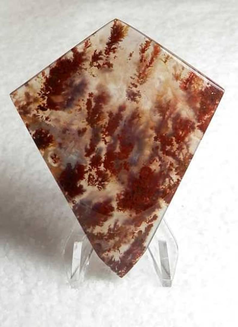 Carey Plume Agate X-rare Oregon Plume Agate Collector Cabochon Hand Cut ...