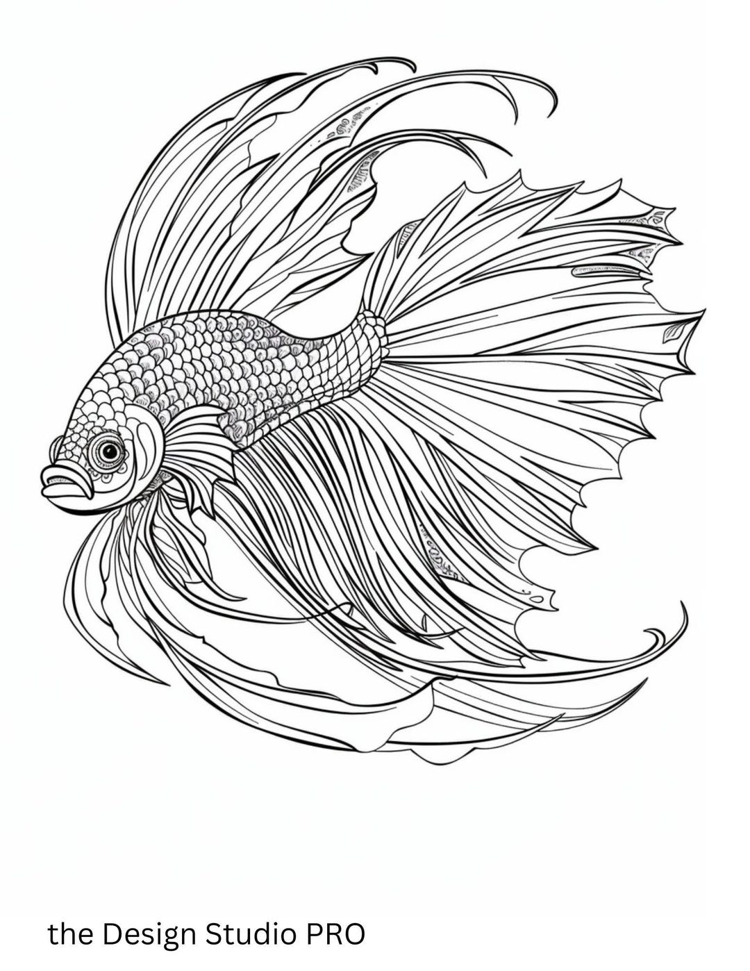 Mandala Fighting Fish Coloring Page for Kids & Adults Coloring Sheet ...
