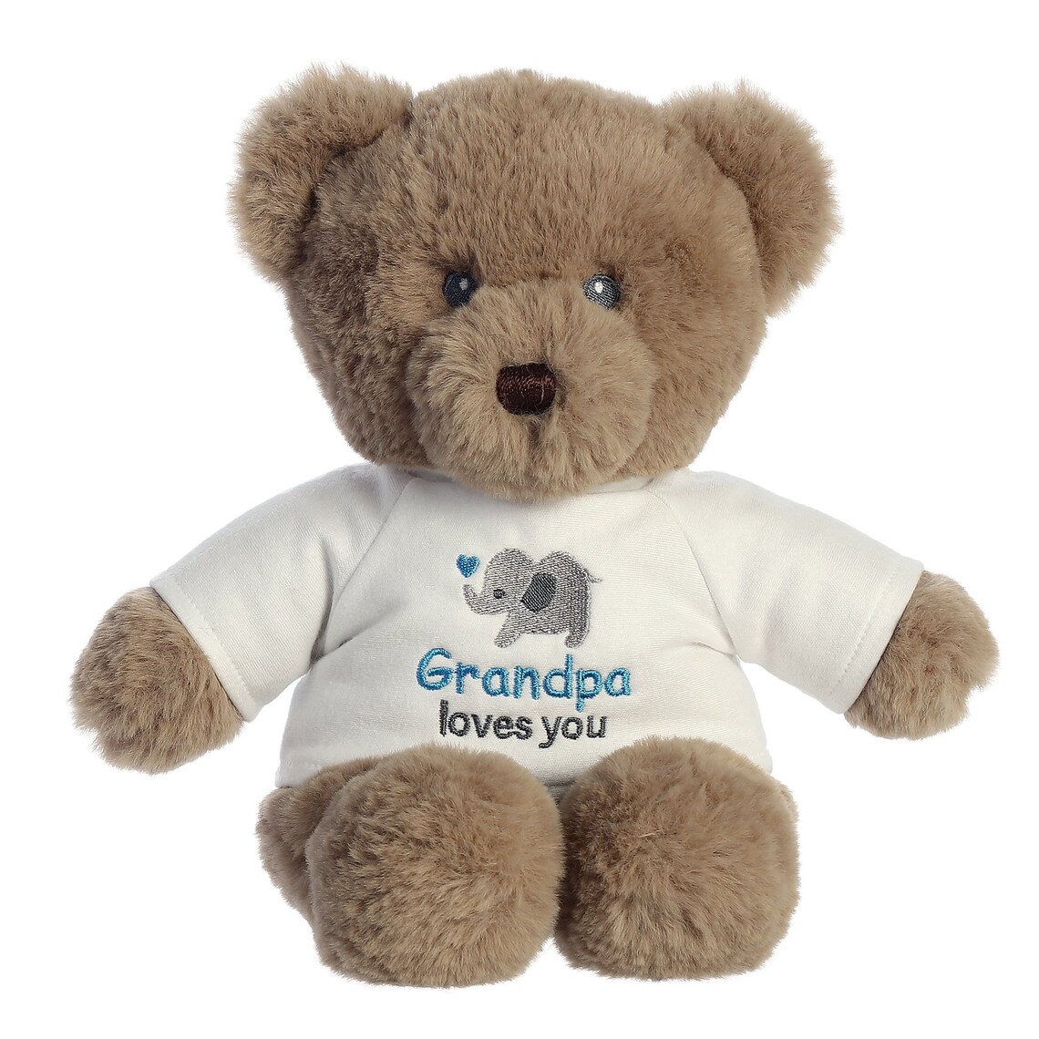 Personalized Plush Teddy Bear, Embroidered Name, Custom - Etsy